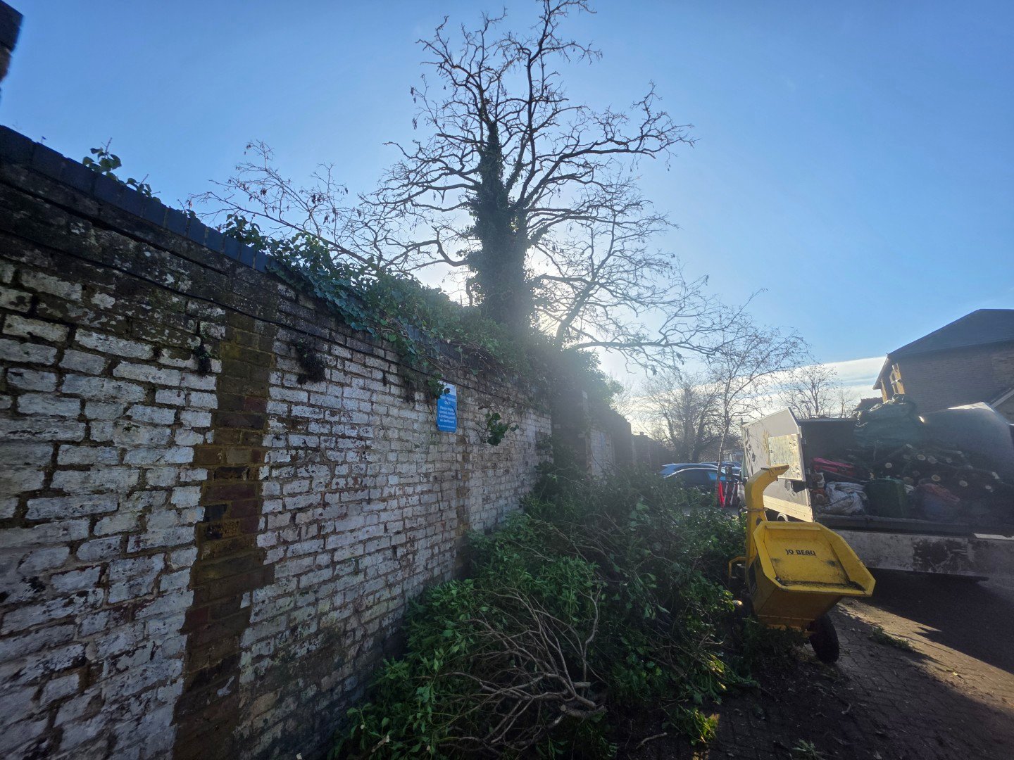 Tree Surgeons In Biggin Hill | Expert Tree Care | Qualitree Ltd