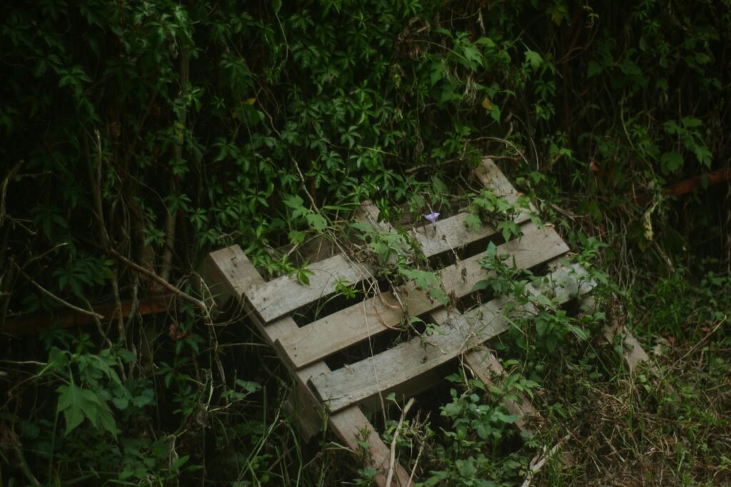 Garden Clearance Surrey | Qualitree Ltd